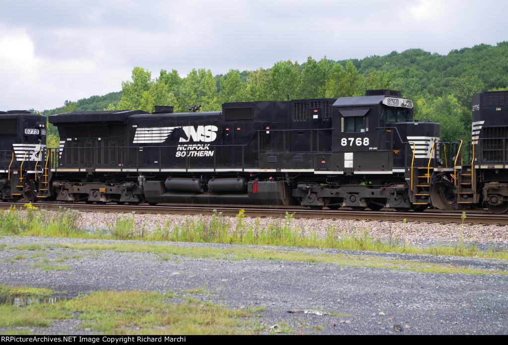 NS 8768